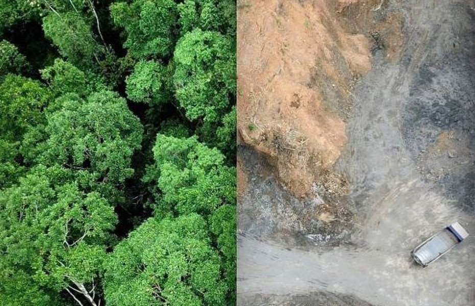 Axola duen #10yearschallenge — Gaztezulo